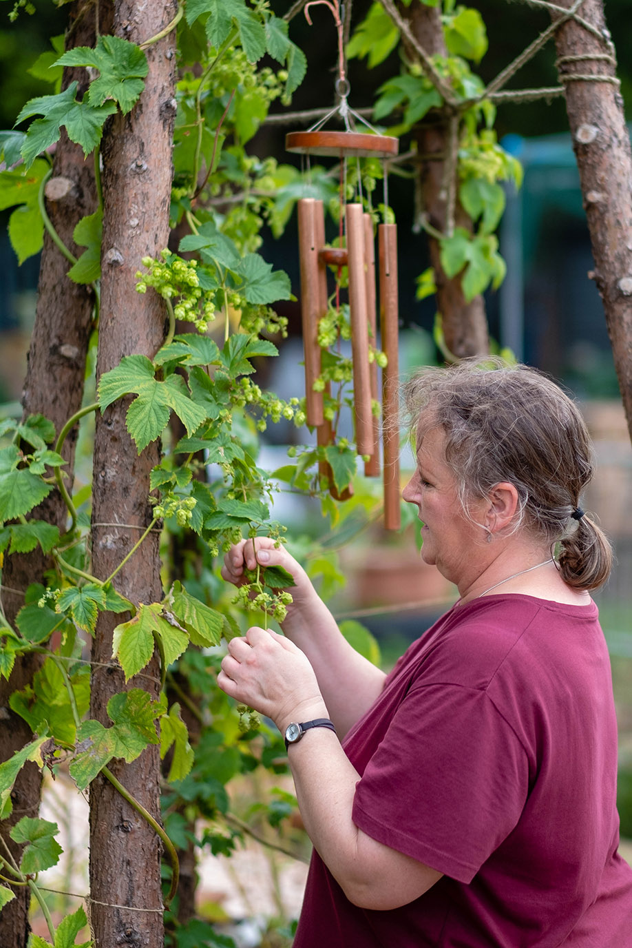 The Story So Far – BENTLEY URBAN FARM